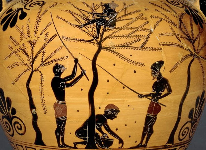 Ο Ελαιώνας της Αθήνας - Αθηνοδρόμιο