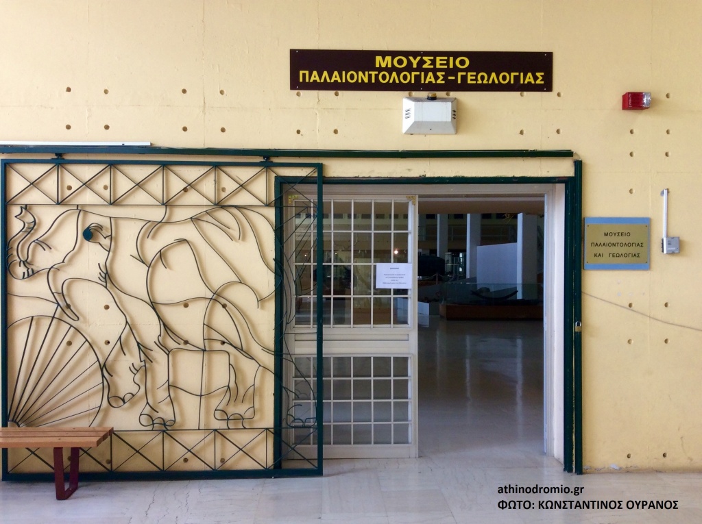 Μουσεία Φυσικής Ιστορίας στην Αττική - Αθηνοδρόμιο